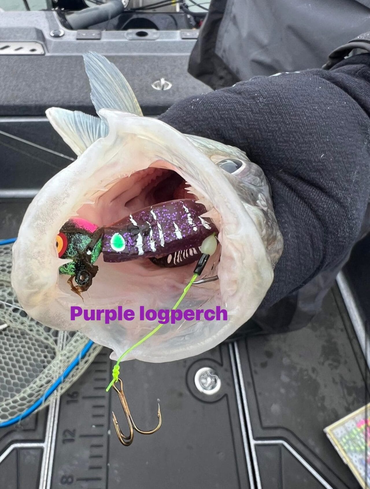Home - Lure Lipstick
